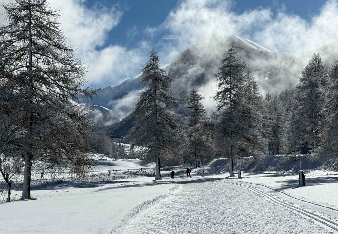 The Southern French Alps Month by Month: When to Go and What to Do