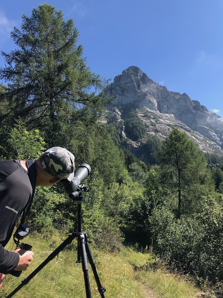Wildlife & Bird Watching in the French Alps | Undiscovered Mountains