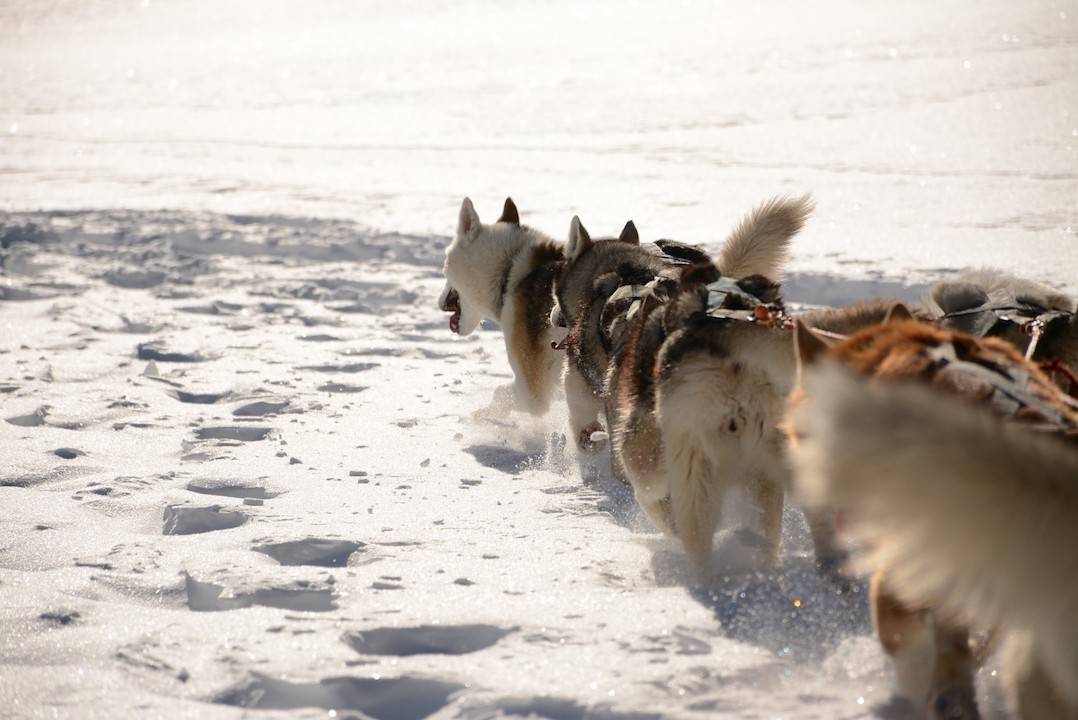 Winter Adventure Weekend in Alpine Wilderness