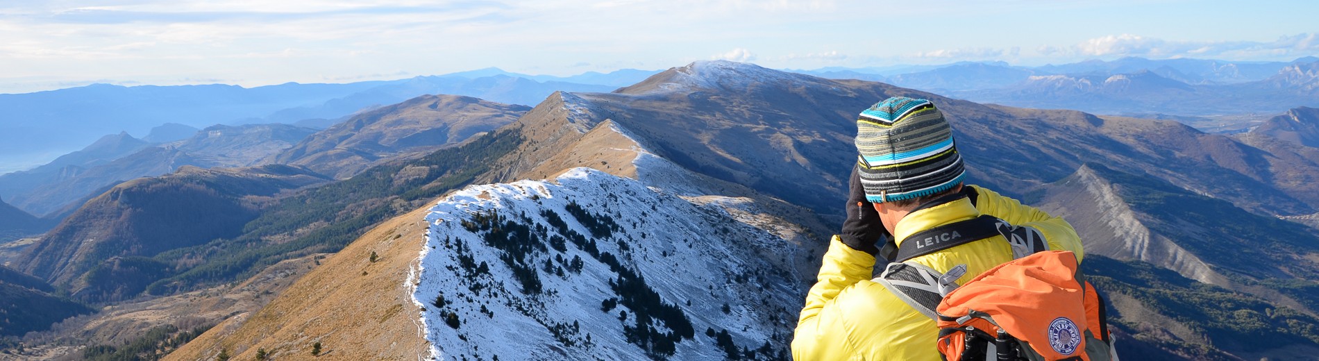 Wolf Tracking Adventure in the Alps
